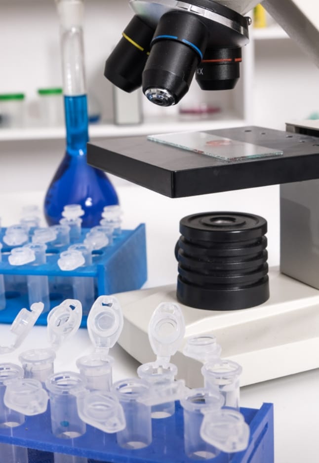 ROXANE : Design & innovation au service de l’industrie